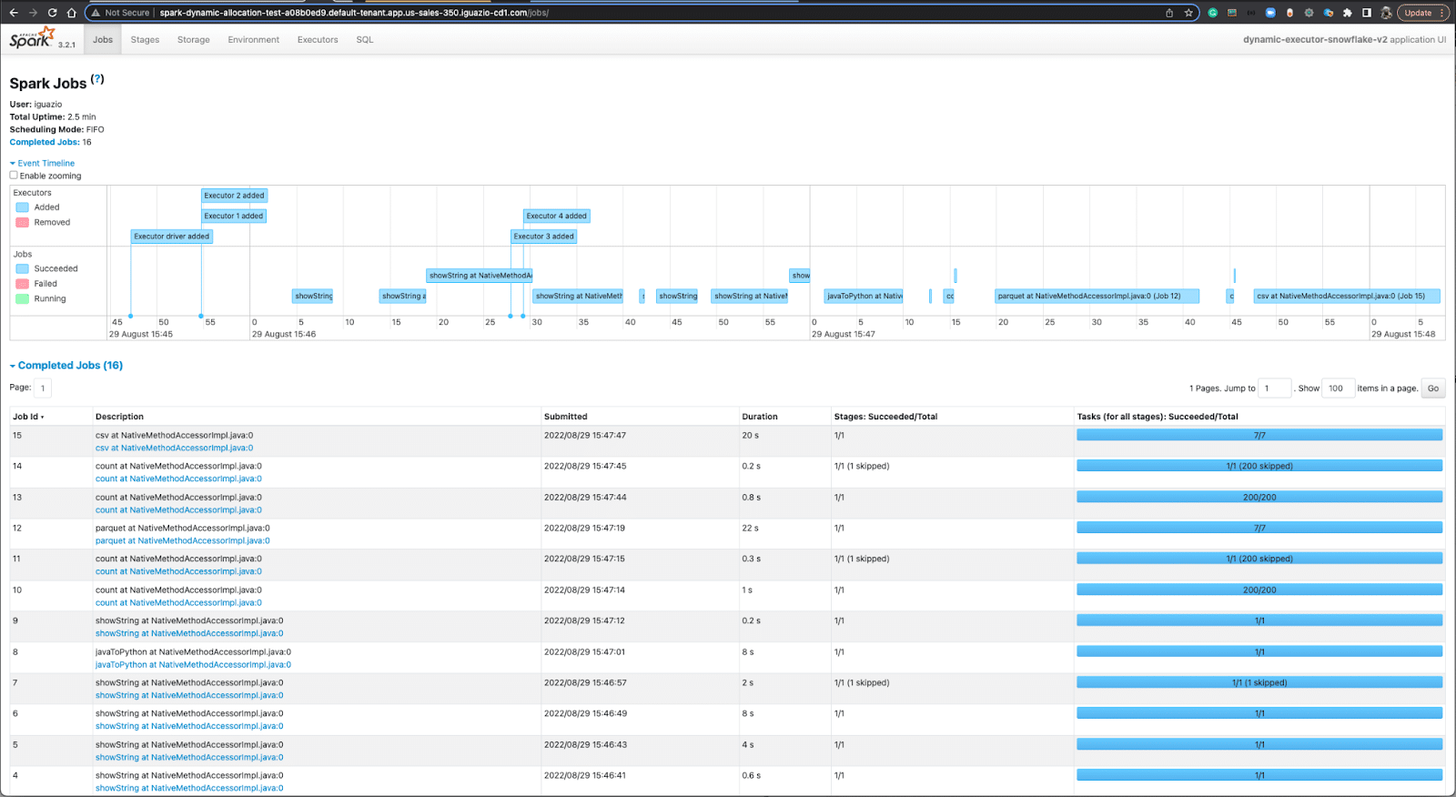 Run Workloads on Spark Operator with Dynamic Allocation