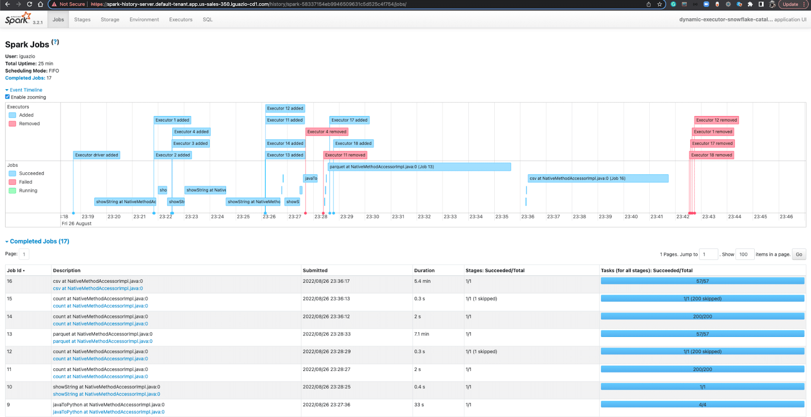Run Workloads on Spark Operator with Dynamic Allocation